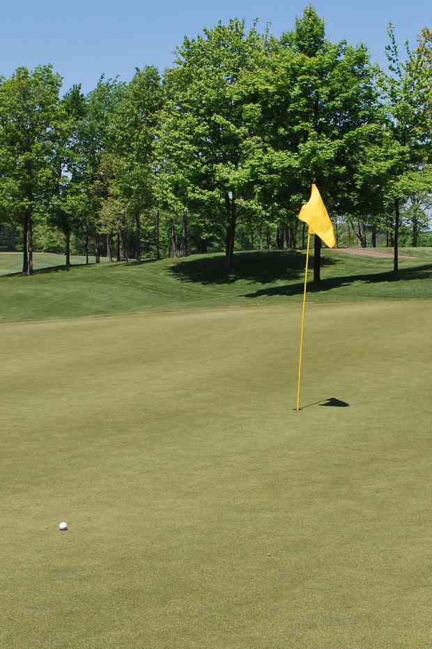 Mines Golf Club | Course Info